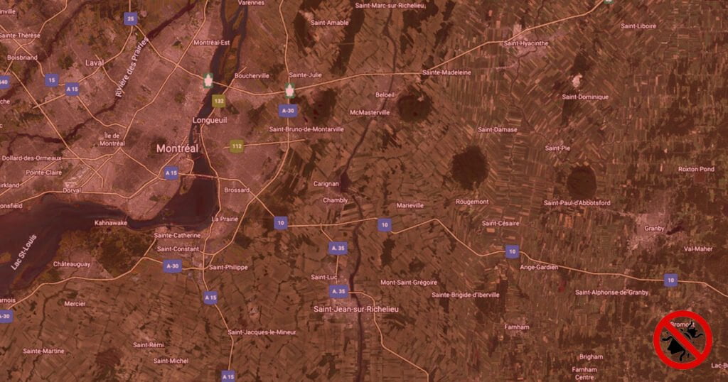 South Shore ants: how to identify them and get rid of them?